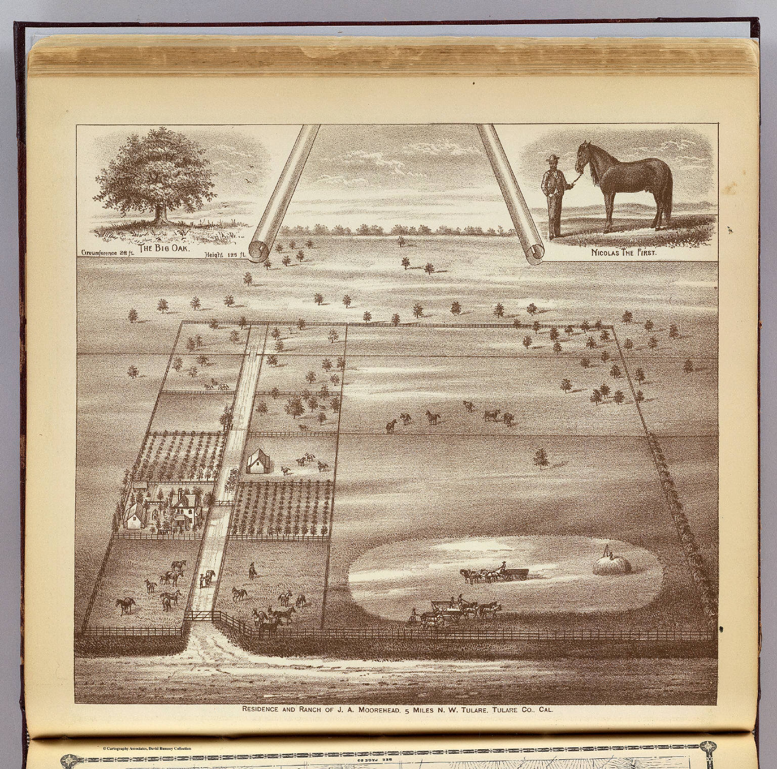 Oakdale Ranch. - David Rumsey Historical Map Collection