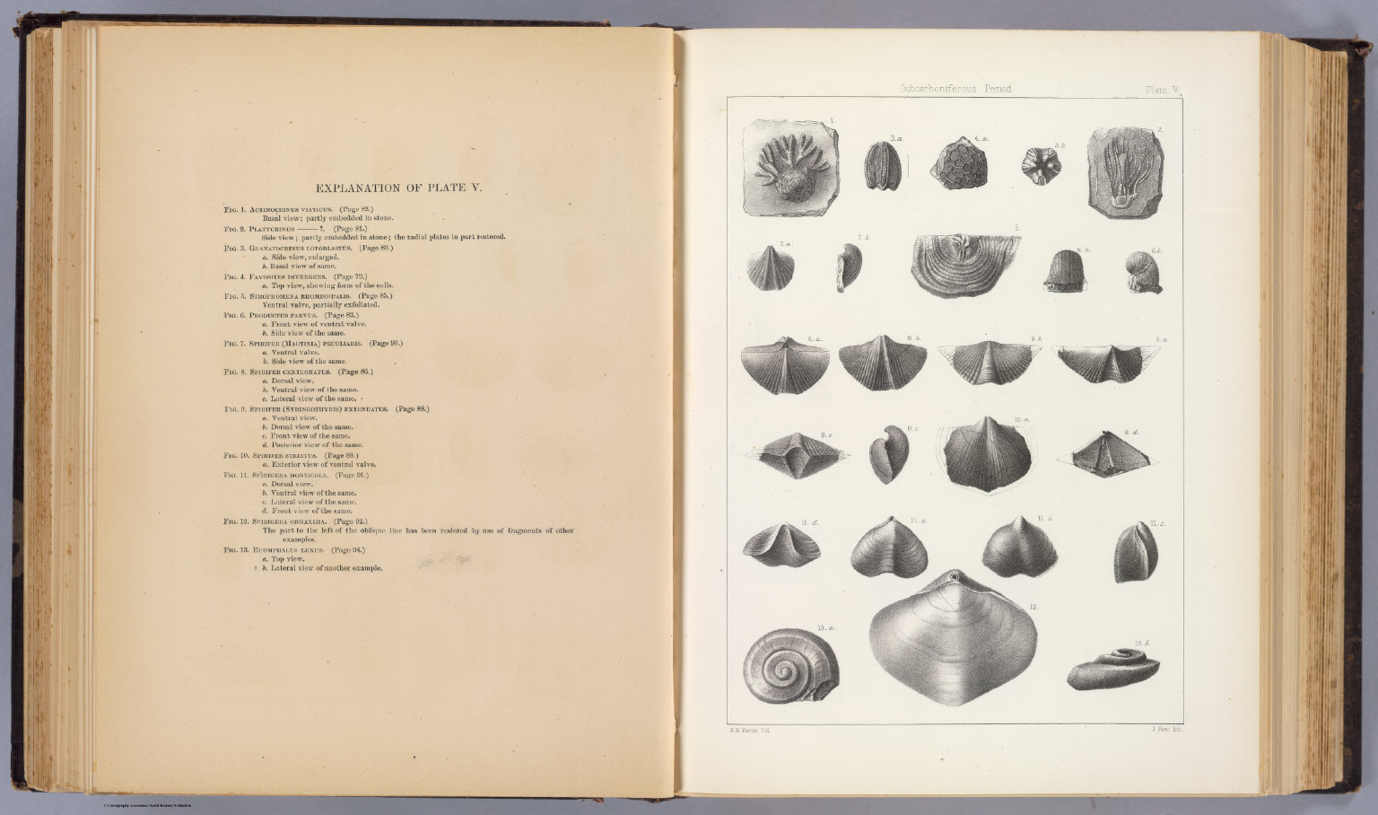 V. Subcarboniferous period. - David Rumsey Historical Map Collection