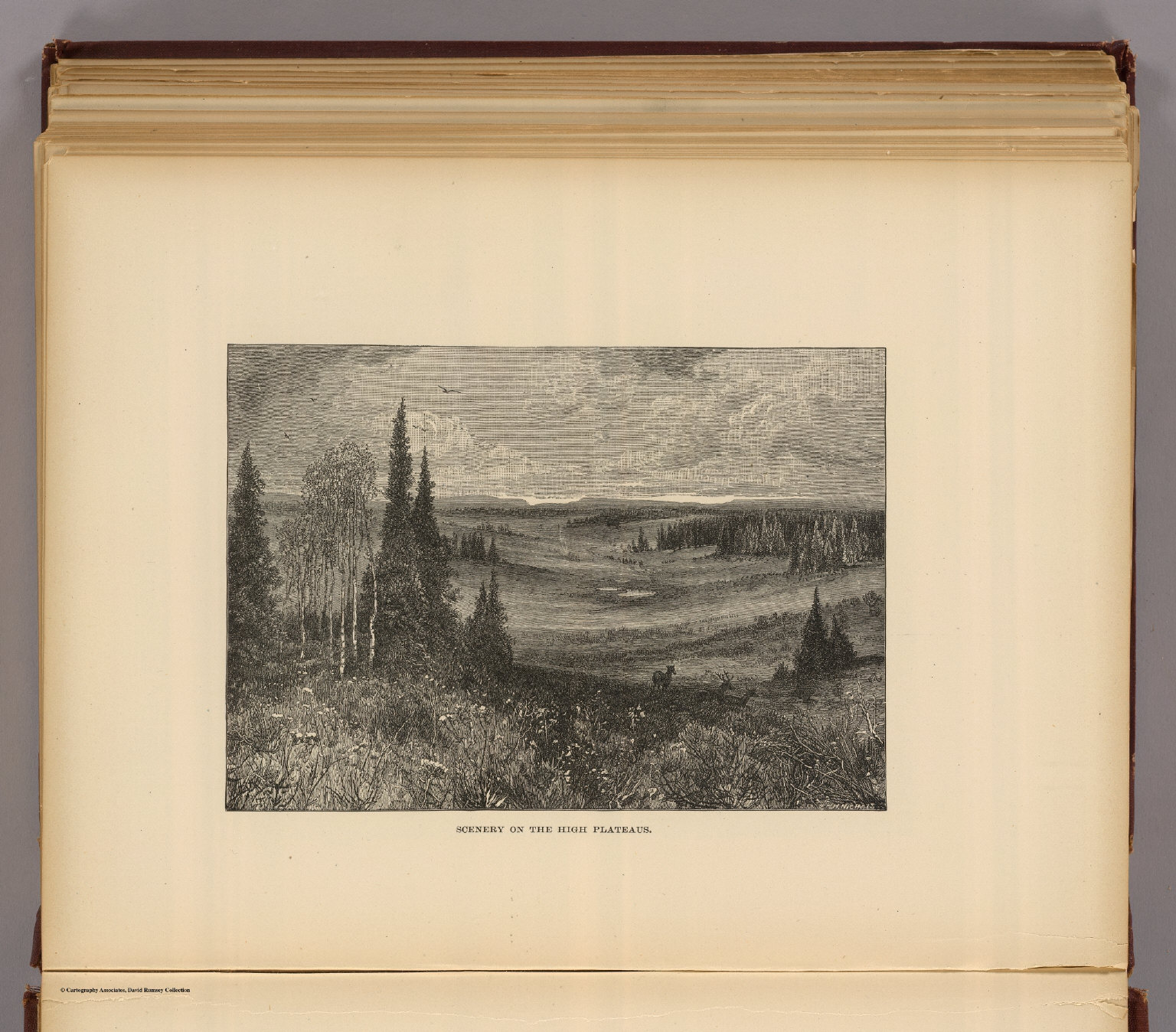 High Plateaus. - David Rumsey Historical Map Collection