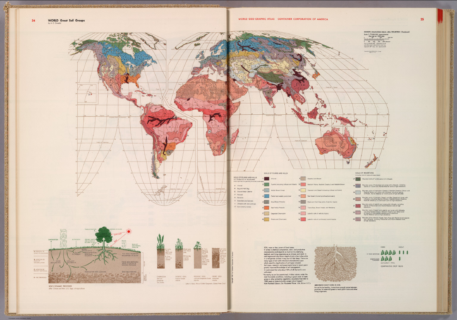 World. Great Soil Groups. - David Rumsey Historical Map Collection