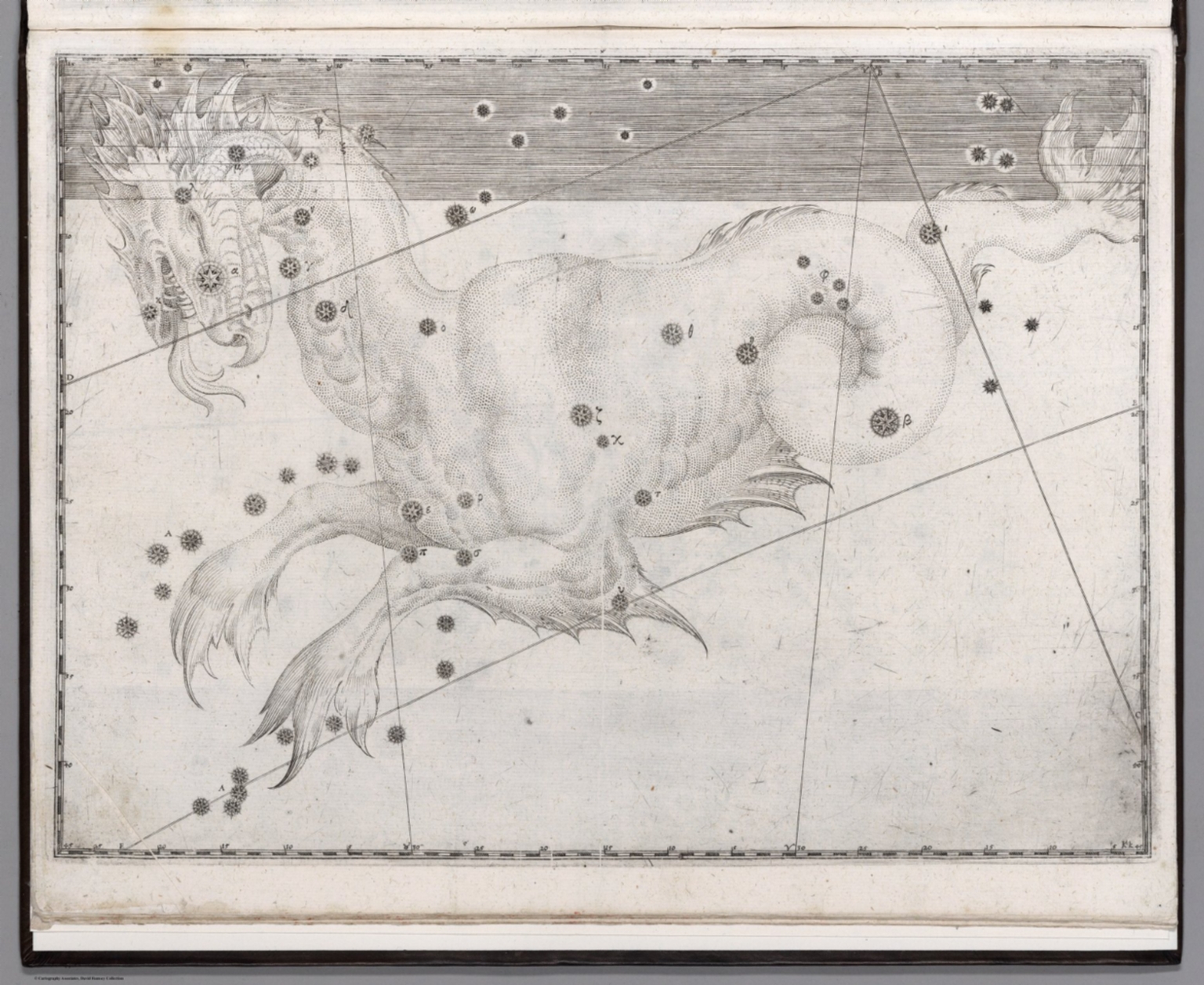 Constellation: Cetus, Sea Dragon. - David Rumsey Historical Map Collection