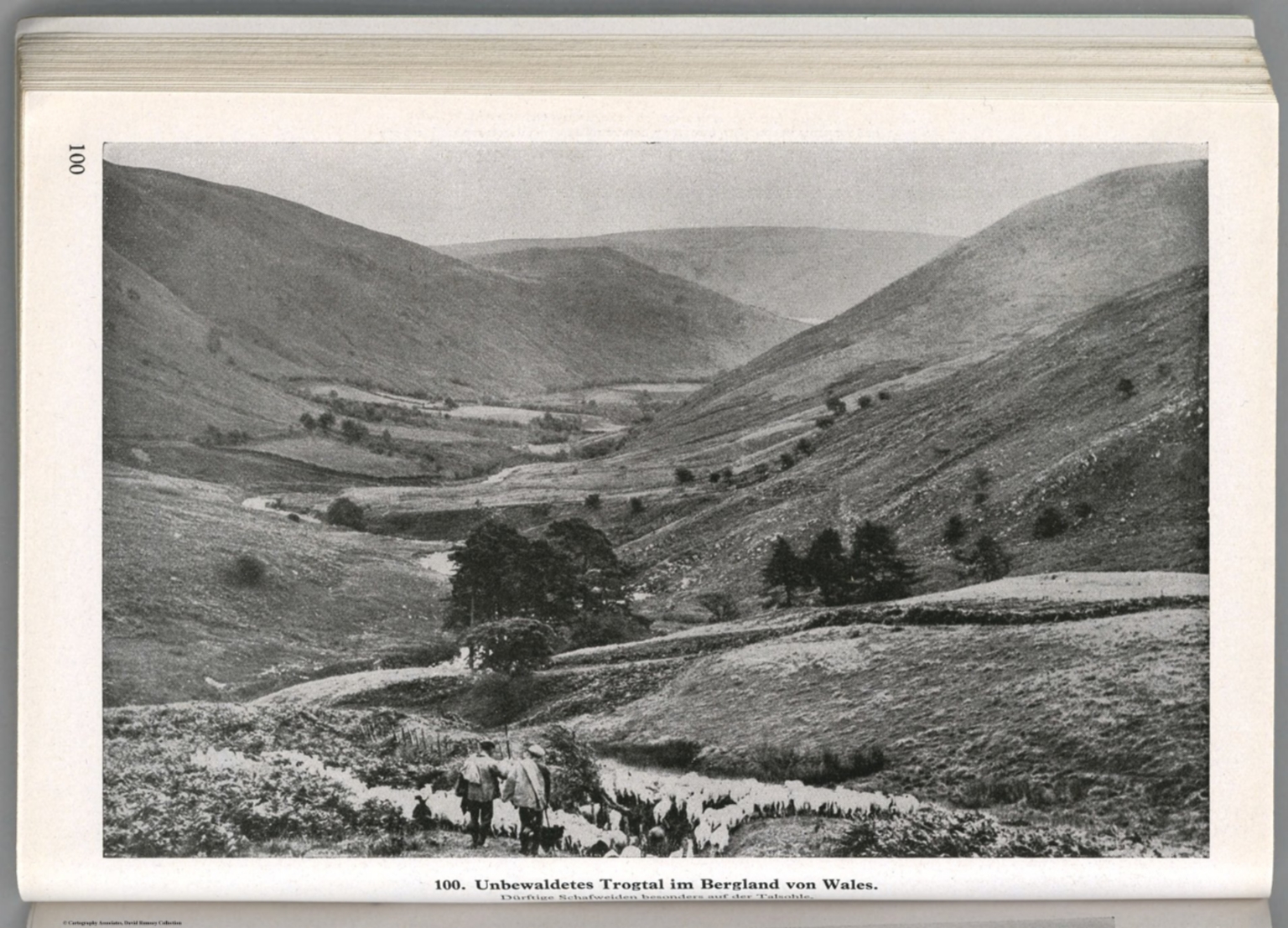 View: 100. Unbewaldetes Trogtal im Bergland von Wales. - David Rumsey ...