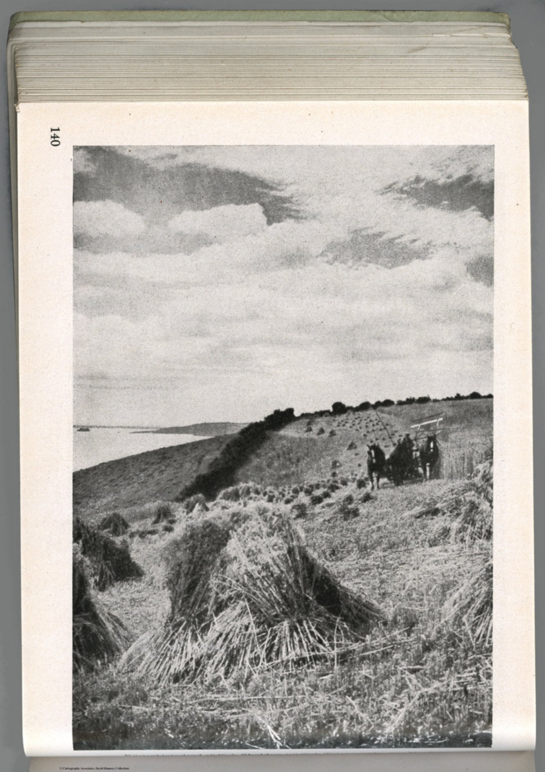 View: Shaldon. - David Rumsey Historical Map Collection