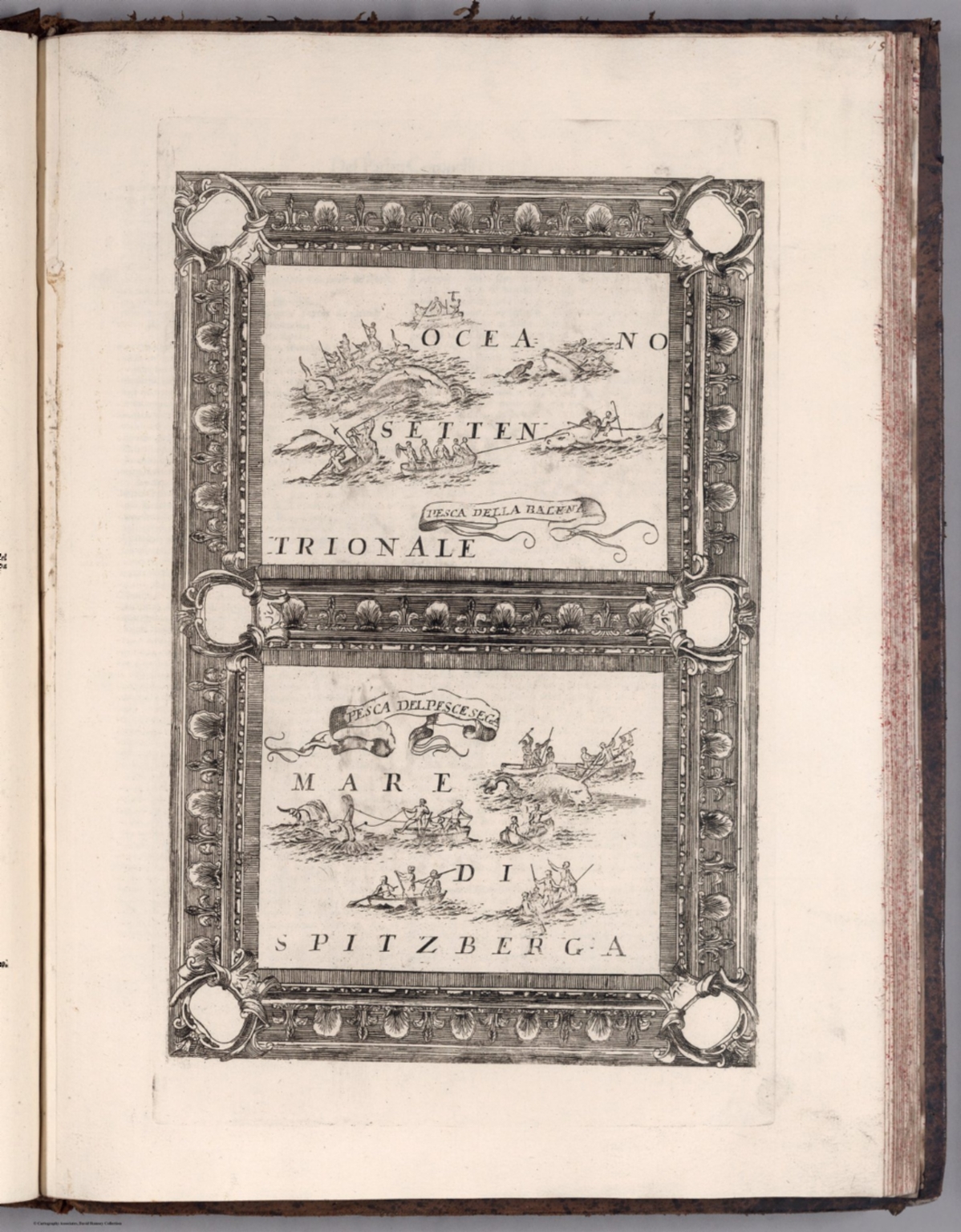 View: Pesca della Balena. - David Rumsey Historical Map Collection