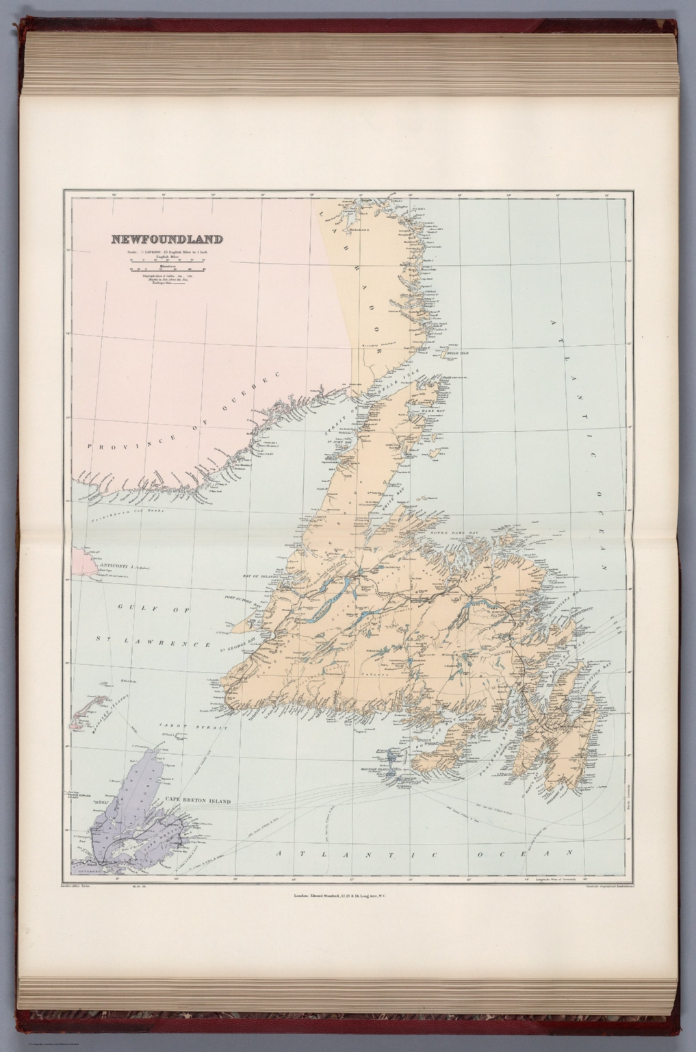 Newfoundland. - David Rumsey Historical Map Collection