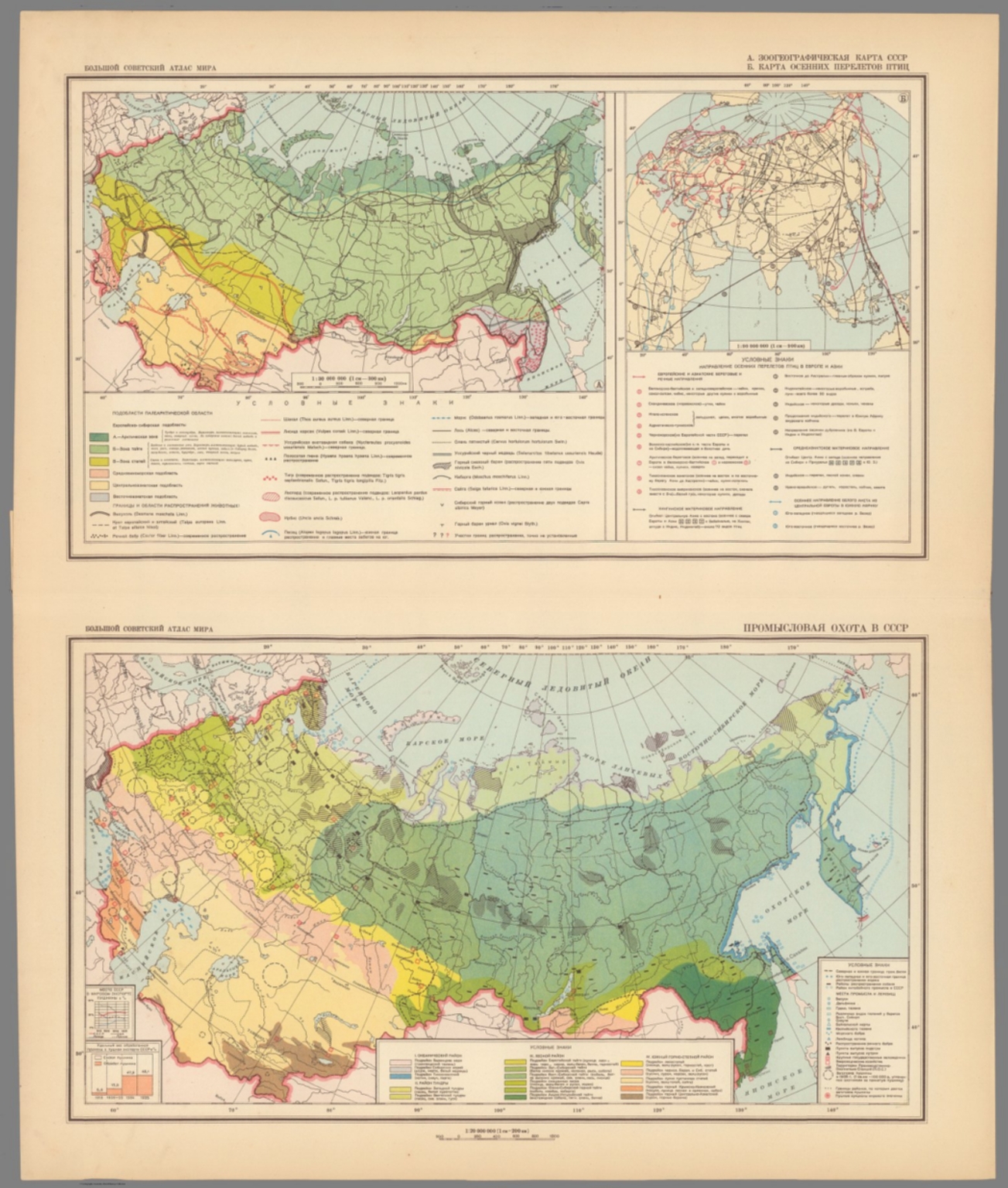 Zoogreograficheskaia karta SSSR. - David Rumsey Historical Map Collection