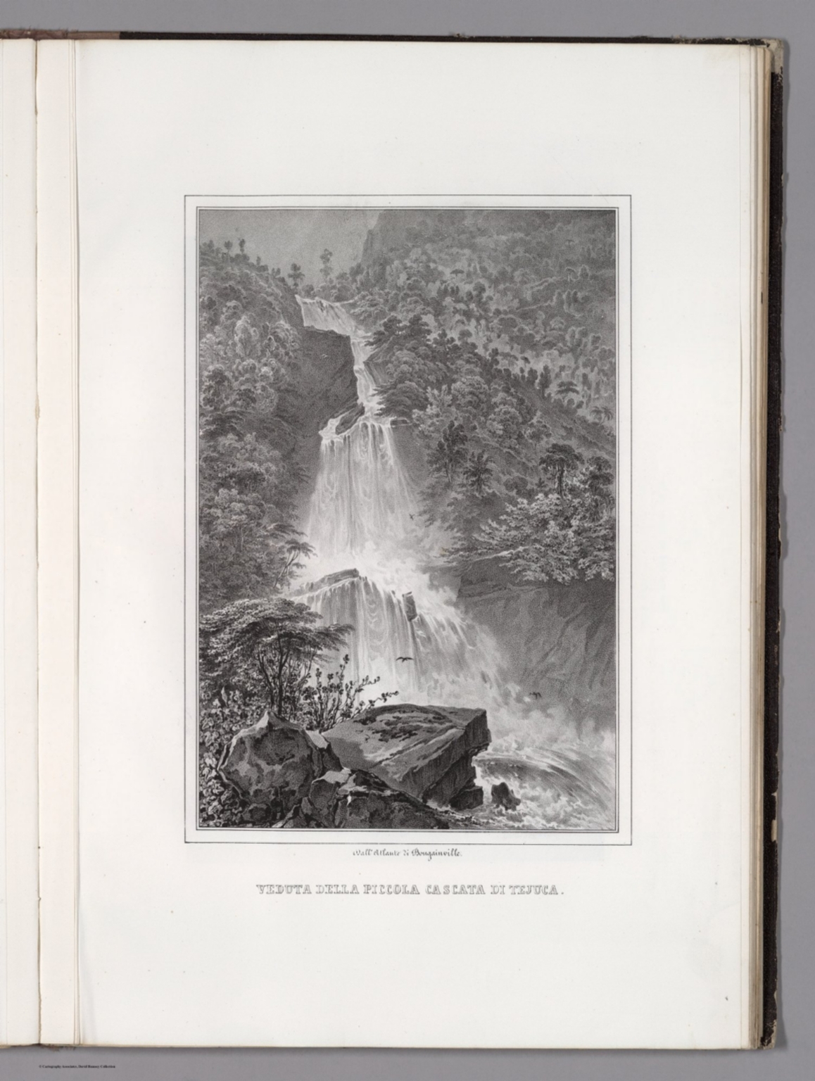 Veduta della Piccola Cascata di Tejuca - David Rumsey Historical Map ...