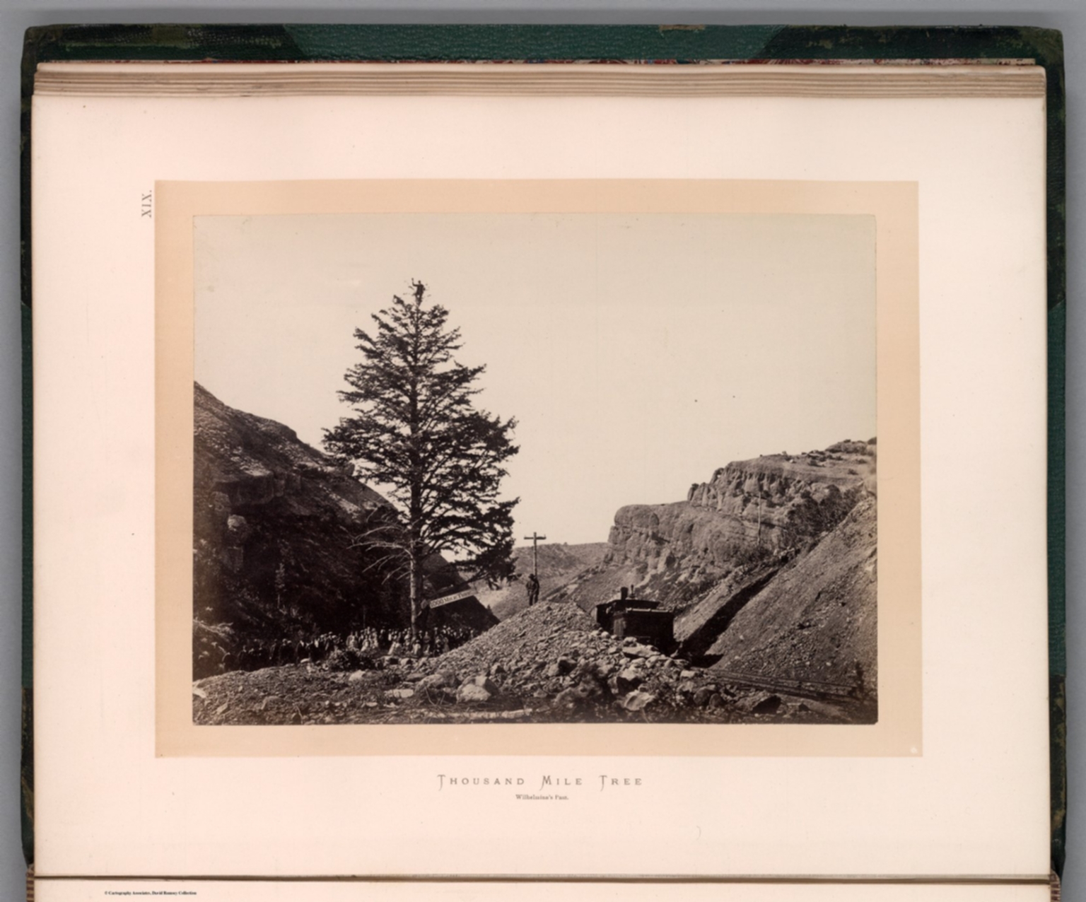 XIX. Thousand Mile Tree : Wilhelmina's Pass - David Rumsey Historical ...