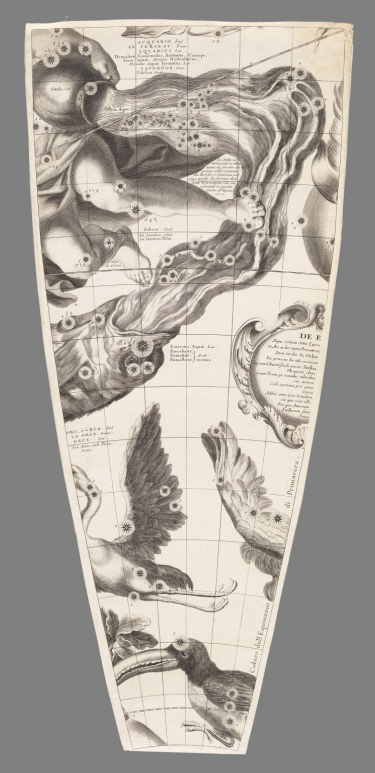 (Gore 24, Celestial Globe) - David Rumsey Historical Map Collection