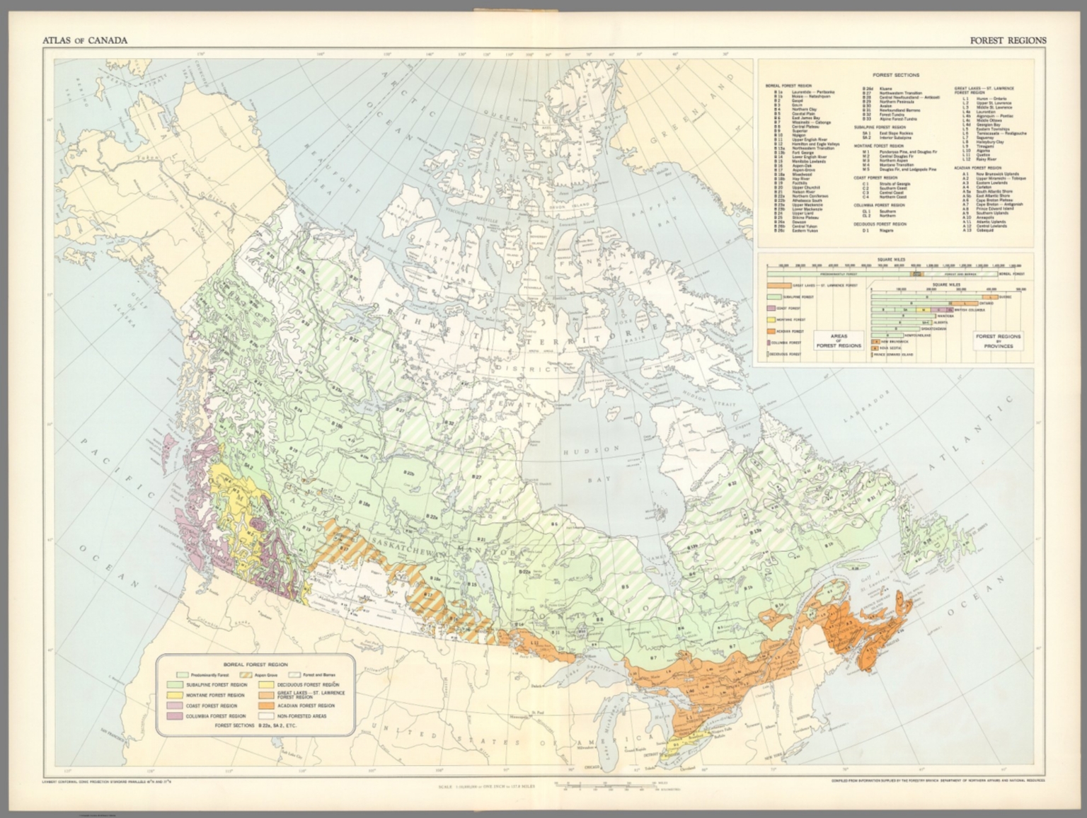 (39) Forest regions. - David Rumsey Historical Map Collection