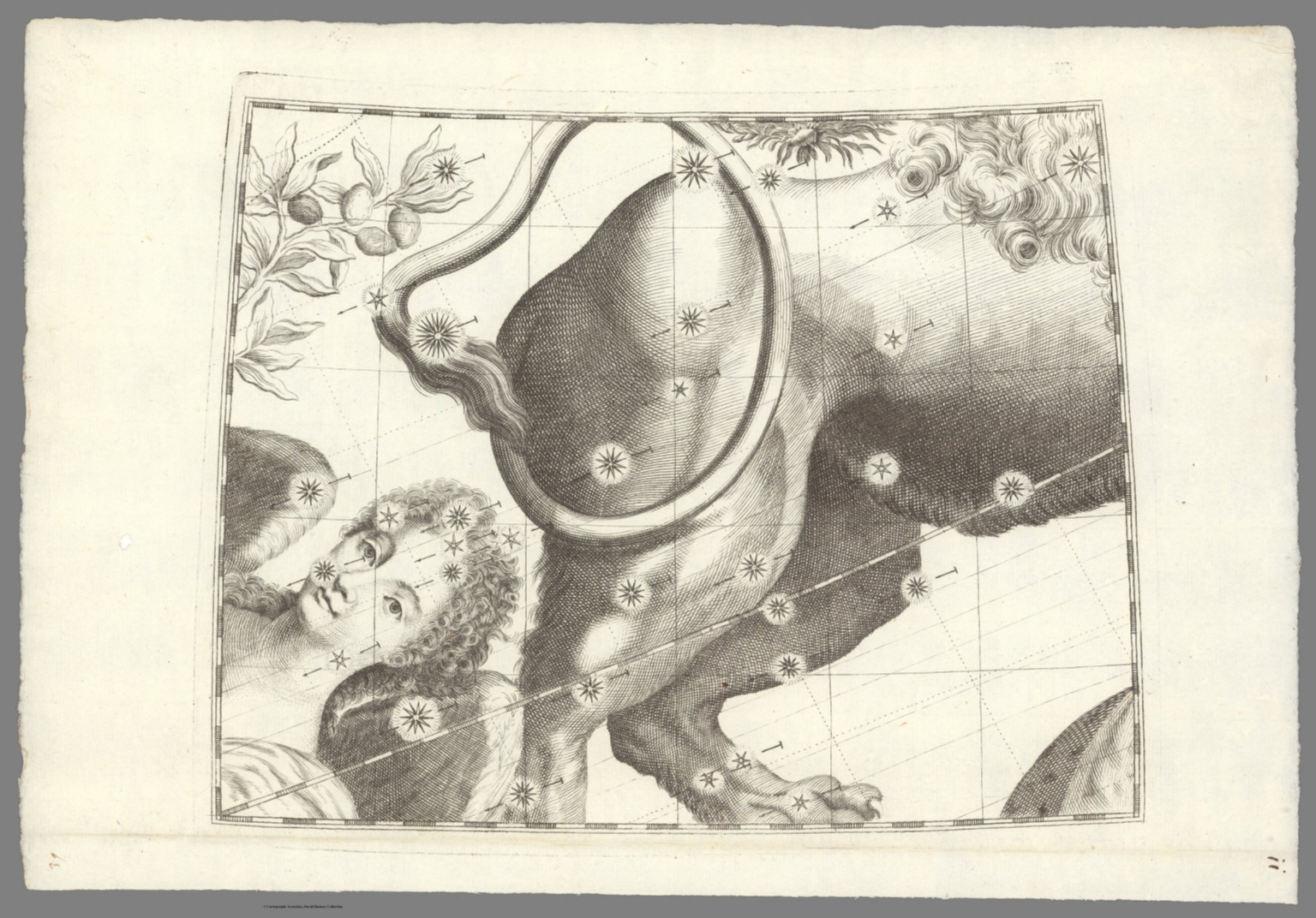 (Gore 11, Celestial Globe) - David Rumsey Historical Map Collection