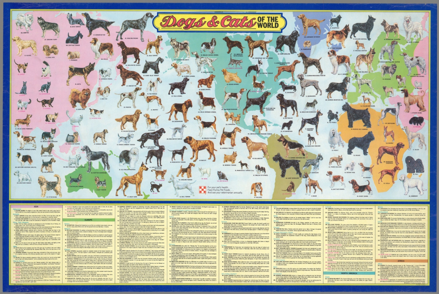 Dogs and cats of the world - David Rumsey Historical Map Collection