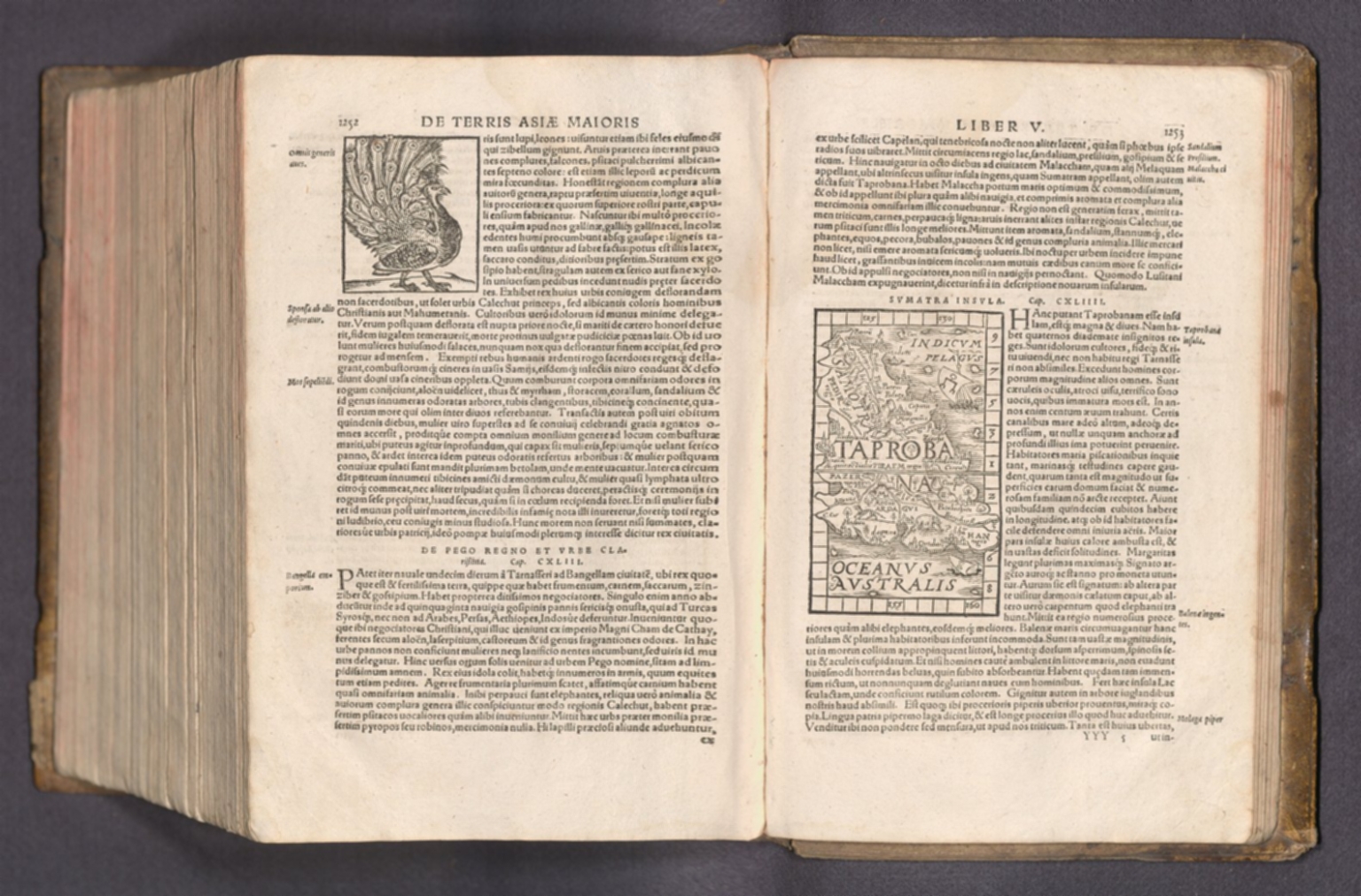 Taprobana - David Rumsey Historical Map Collection